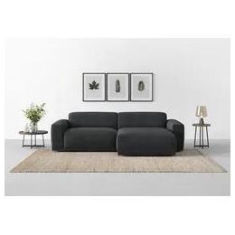 Ecksofa Trendmanufaktur "Braga, mit hochwertigem Kaltschaum, L-Form, in Cord erhältlich" Sofas Gr. B/H/T: 255cm x 72cm x 160cm, Struktur LORD, Recamiere rechts, grau (anthrazit) modernes Sofa, Couch mit hohem Sitzkomfort, 25572160 cm (BHT)