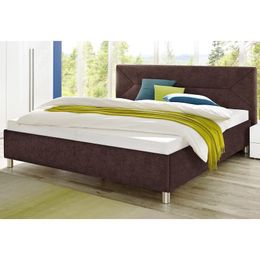 Maintal Polsterbett braun Liegefl&auml;che L&auml;nge B: 200cm x 140cm, Microvelours, Bonnell-Federkernmatratze H2
