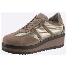 Schnürschuh Heine Gr. 36, grau (taupe) Damen Schuhe