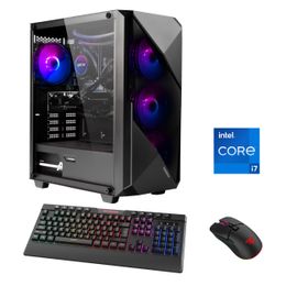 Hyrican Gaming-PC "Striker 6933" Computer DDR5, PCIe SSD Gen4, Windows 11 Gr. Microsoft Windows 11 Home (64 Bit), 32 GB RAM 1000 GB SSD, schwarz