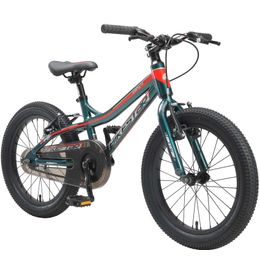 Kinderfahrrad LÖWENRAD "Mountain" Fahrräder Gr. 27cm, 18 Zoll (45,72cm), grün Kinder