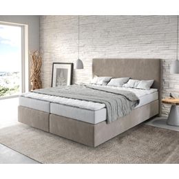 DeLife Boxspringbett Dream-Well 160x200 cm Mikrofaser Beige mit Matratze und Topper, Boxspringbetten