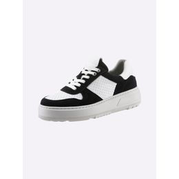 Heine Sneaker