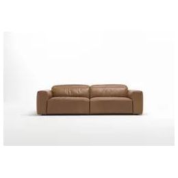 2,5-Sitzer Egoitaliano "Beverly, Designsofa mit erstklassigem Sitzkomfort und tollen Details" Sofas Gr. B/H/T: 242cm x 95cm x 109cm, Leder BULL, grau (stone) Breite 242 cm, verstellbare Kopfteile