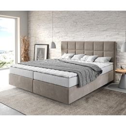 DeLife Boxspringbett Dream-Fine 180x200 cm Mikrofaser Beige mit Matratze und Topper, Boxspringbetten