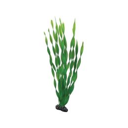 Dohse Vallisneria 46 cm