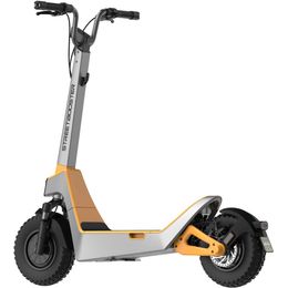 E-Scooter STREETBOOSTER "Castor" Scooter silberfarben (silberfarben, orange) ohne Straßenzulassung, bis zu 44 km Reichweite, Wechsel-Akku-System