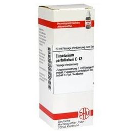 DHU-Arzneimittel Eupatorium Perfoliatum D 12 Dilution 20 ml