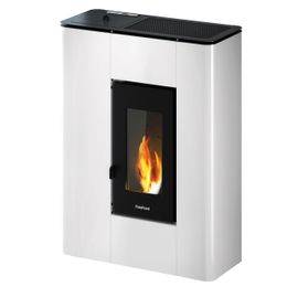 A+ (A++ bis G) FIREFIX Pelletofen "Pegaso » Madison 5«, 2,5-5,2 kW" Kaminöfen baumarkt