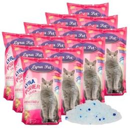 LYRA PET Lyra Power Silica Silikat Katzenstreu 60 l