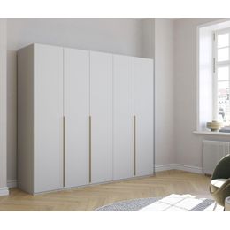 Drehtürenschrank Rauch "Skat Glamour" Schränke Gr. B/H/T: 251 cm x 235 cm x 63 cm, 5 St., grau (seidengrau) goldene Griffstange und umfangreiche Innenausstattung