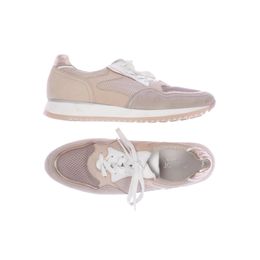 Gabor Damen Sneakers, pink, Gr. 6.5