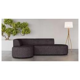 Ecksofa Andas "Ecksofa Tvinne mit Ottomane links oder rechts bestellbar" Sofas Gr. B/H/T: 260cm x 73cm x 170cm, Boucle, Ottomane links, grau (anthrazit) L-Form, mit Wellenunterfederung, BxTxH 260x170x73 cm