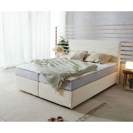 DeLife Boxspringbett Dream-Well Plüsch-Cord Beige 160x200 cm TFK-Matratze Visco-Topper, Boxspringbetten