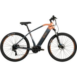 E-Bike Totem "FJ-M" E-Bikes Gr. 46 cm, 29 Zoll (73,66 cm), grau (stahlgrau, orange) Pedelec, Elektrofahrrad für Damen u. Herren, MTB, Mountainbike