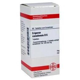 DHU-Arzneimittel Erigeron Canadensis D 6 Tabletten 80 St