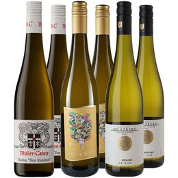 Wirwinzer Select 2023 Riesling Selektion-Paket