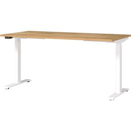 Schreibtisch Germania "Jet, elektrisch höhenverstellbar" Tische Gr. B/H/T: 160 cm x 72 cm x 80 cm, weiß (navarra, eiche, nachbildung, weiß, navarra, nachbildung) moderne Farbvariationen, Breite 120140160180 cm, Made in Germany