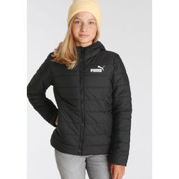 Winterjacke Puma "ESS HOODED PADDED JACKET" Gr. 152, schwarz (Puma black) Kinder Jacken