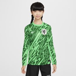 Netherlands (Women's Team) 2024/25 Stadium Goalkeeper Nike Replika-Fußballtrikot mit Dri-FIT-Technologie (ältere Kinder) - Grün