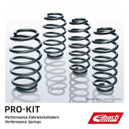 Eibach Fahrwerksatz, Federn Pro-Kit vorne rechts links Satz mit 2 und Anbauteile für weitere Achse MERCEDES-BENZ E10-25-021-05-22