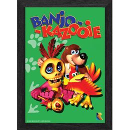 Pixel Frames - Plax Banjo-Kazooie - Bild