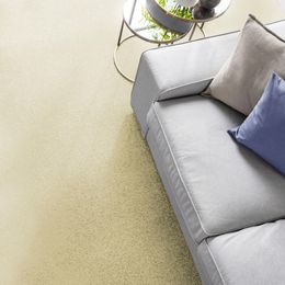 ANDIAMO Teppichboden "Velours Kira" Teppiche Uni Farben, Breite 400 cm, strapazierfähig, pflegeleicht, Wohnzimmer Gr. B/L: 400 cm x 700 cm, 8 mm, 1 St., beige (creme)