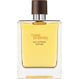 Hermès HERMÈS Terre d’Hermès Eau Intense Vétiver EDP für Herren 100 ml