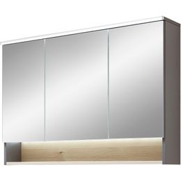 Spiegelschrank SAPHIR "Quickset 394" Schränke Gr. B/H/T: 100 cm x 71,6 cm x 21,4 cm, 3 St., grau (quarzgrau matt touch)