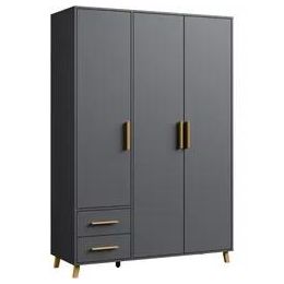 Drehtürenschrank Rauch "Kleiderschrank Schrank Garderobe Wäscheschrank SHINJO" Schränke Gr. B/H/T: 140 cm x 203 cm x 53 cm, 3 St., grau (graumetallic) Griffe und Füße aus Massivholz mit 2 Schubladen MADE IN GERMANY