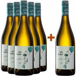 Weinwurm 2023 5+1 Paket Asia Blend Cuvée weiß trocken