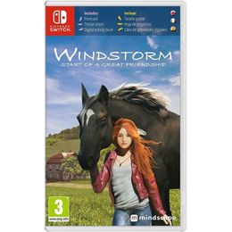 Mindscape Windstorm: Start of a Great Friendship (Code in a Box) - Nintendo Switch - Abenteuer - PEGI 3