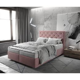 DeLife Boxspringbett Dream-Great 140x200 cm Mikrofaser Rosé mit Matratze und Topper, Boxspringbetten