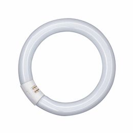 Osram G10q 32W 840 Lumilux T9C Leuchtstoffring