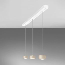 OLIGO GRACE Tunable White LED Pendelleuchte mit unsichtbarer Höhenverstellung, 63-506-44-21+62-506-20-21+G42-931-51-51#3,