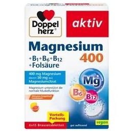 Doppelherz Magnesium 400+b1+b6+b12+folsä 6X15 St