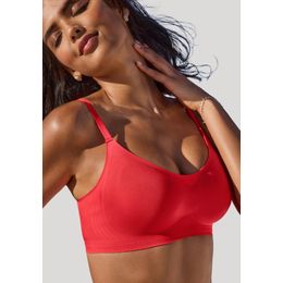 Nuance Damen Bralette-BH, Gr. S, rot, Microtouch, Obermaterial: 82% Polyamid, 18% Elasthan, Basic, BHs, SEAMLESS ohne Bügel, mit herausnehmbarem