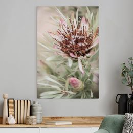 Bilderwelten Leinwandbild Tropisch Kunstdruck gr&uuml;n - Trockenblume in Rosa und Gr&uuml;n - Wandbild XXL Wohnzimmer Schlafzimmer