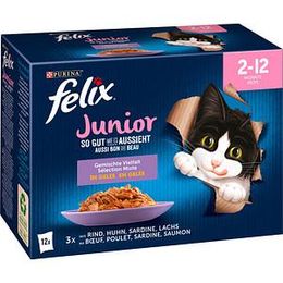 FELIX® Katzen-Nassfutter So gut wie es aussieht Junior gemischte Vielfalt in Gelee 12x 85,0 g