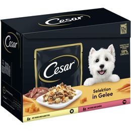 CESAR Portionsbeutel Multipack Selektion in Gelee mit Huhn und Karotten, mit Rind und Gemüse 12x100g