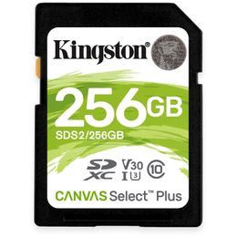 Kingston SD-Card Canvas Select Plus, 256 GB
