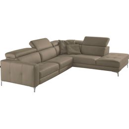 Ecksofa Egoitaliano "Matt, hoher Sitzkomfort und aufwendige Detailverarbeitung, L-Form", grau (taupe), B:285cm H:100cm T:221cm, Leder &raquo;BULL&laquo; (echtes Rindsleder). Geschliffenes, pigmentiertes und behandeltes Rindsleder mit einer Dicke von 1, 3-1, 5 mm. Dieses Leder zeigt eine ziemlich weiche Hand mit einem halb undurchsichtigen Aussehen. Es handelt sich um ein gesch&uuml;tztes Leder. Eine leichte Decksc