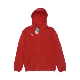 Puma Herren Hoodies & Sweater, rot, Gr. 176