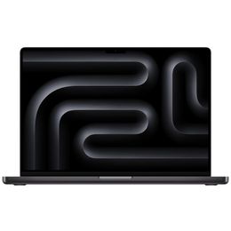 Apple MacBook Pro 16" (2023) M3 Max 40-Core GPU 4,05 GHz - Space Schwarz (Zustand: Gut)