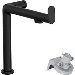 Hansgrohe Aqittura M91 Küchenarmatur 76804670 1jet, mattschwarz