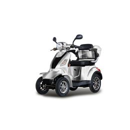 STORMBORN R4 Elektromobil 25 km/h silber