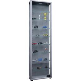 ebuy24 Edana Maxi Vitrinenschrank 1 Glastür mit LED-Licht, Glasvitrine 8 Glasböden Silberfarbig.