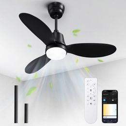 Deckenventilator mit LED-Beleuchtung, Fernbedienung und app, 6 Geschwindigkeiten, Sommer-Winter, doppelte Höhe – Schwarz – 36 Zoll