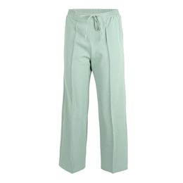 Dorothy Perkins Petite Hose Damen Gr&ouml;&szlig;e 34 mint