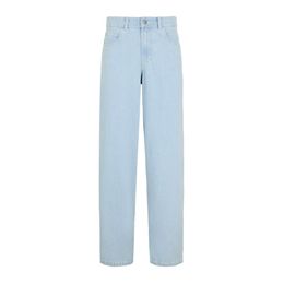 Dickies Jeans 'HERNDON' female Blue size 26